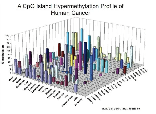 Data Visualization Examples: Good, Bad and Misleading